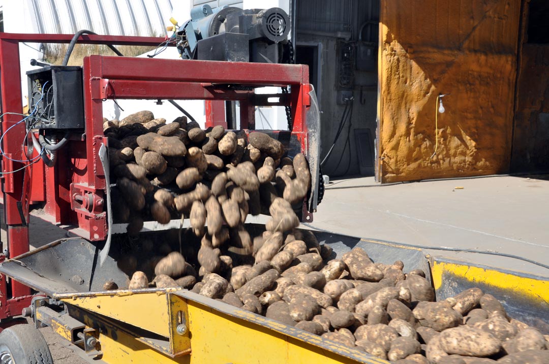 Our Products - Bench Mark Potato Company Inc.
